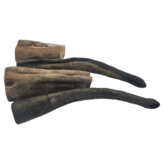 Herders Choice Chews Dried Cow Tails – Mongolian Chews